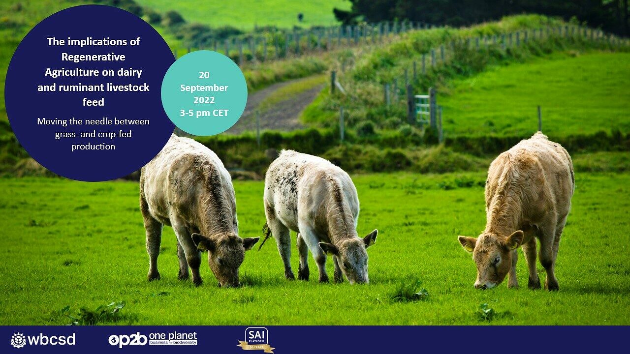 The implications of regenerative agriculture on dairy and ruminant ...