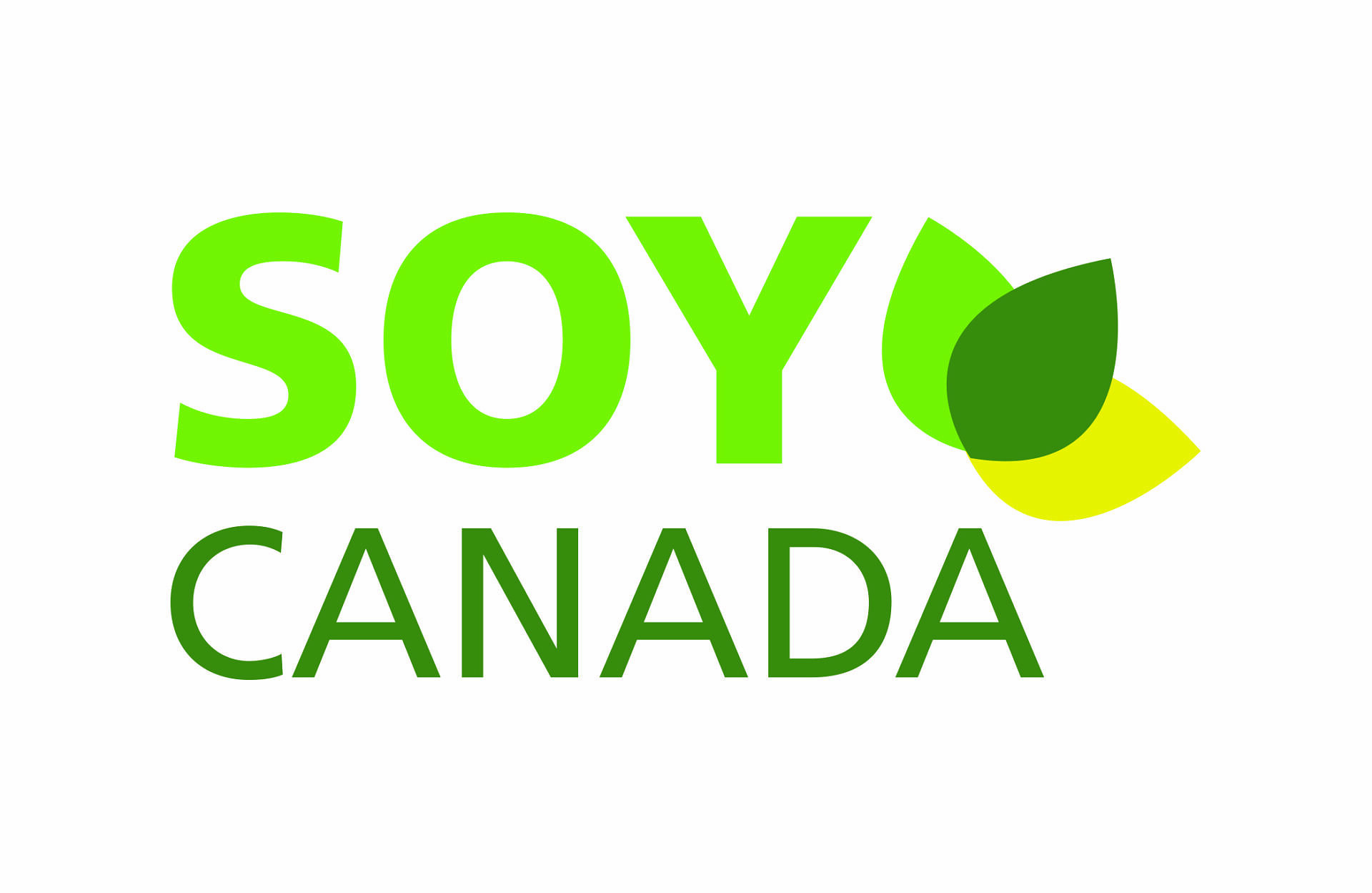 We welcome SaraSpice as a SAI Platform member — SAI Platform