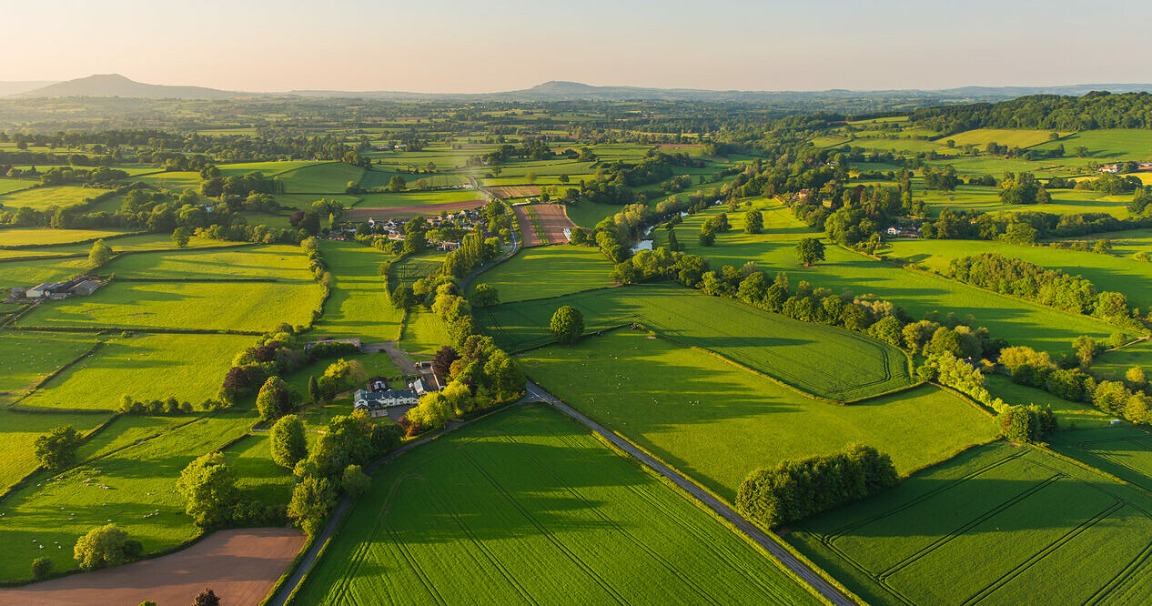 SAI Platform — Sustainable Agriculture Initiative Platform