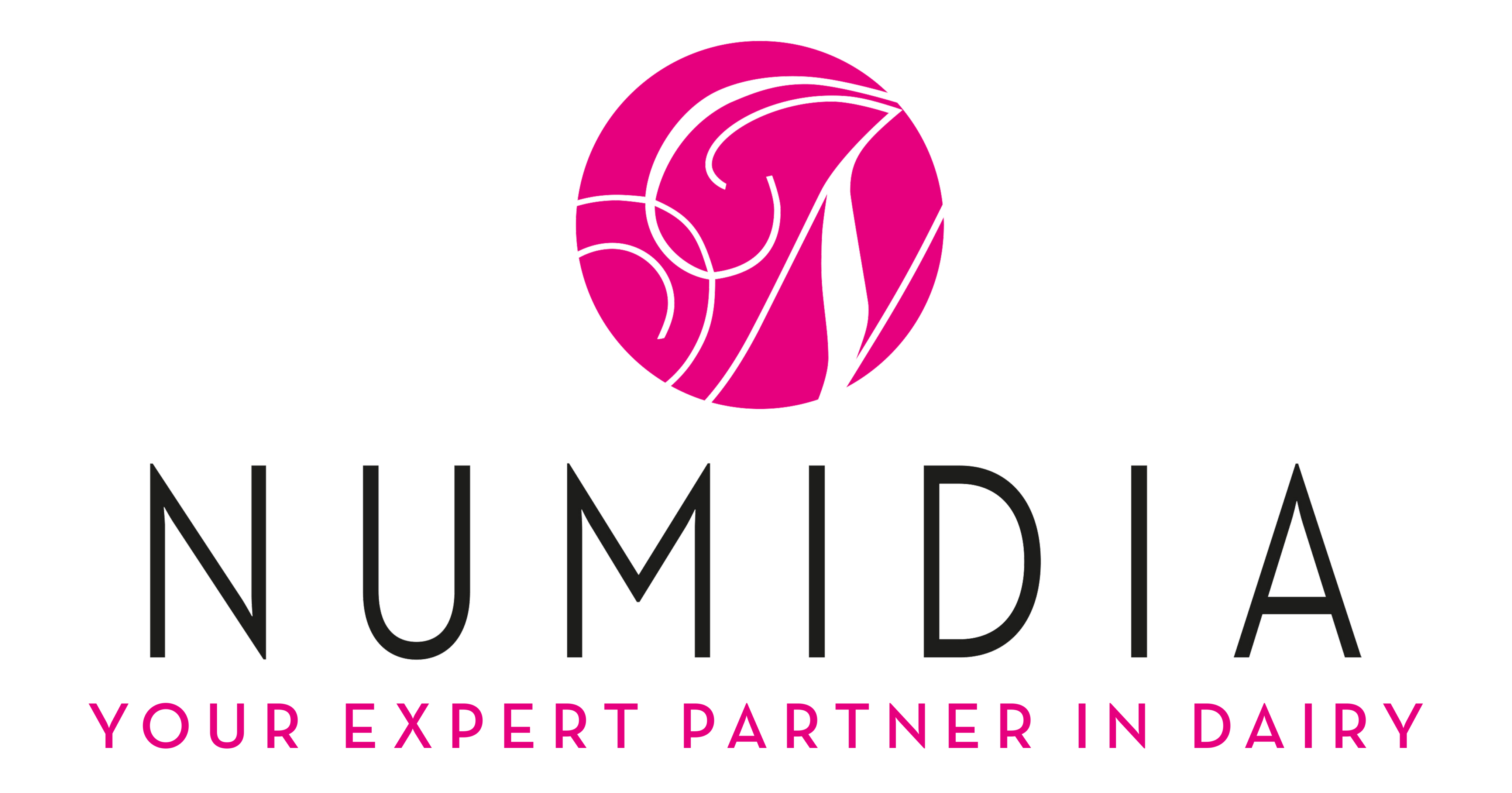 We welcome Numidia as a SAI Platform member — SAI Platform